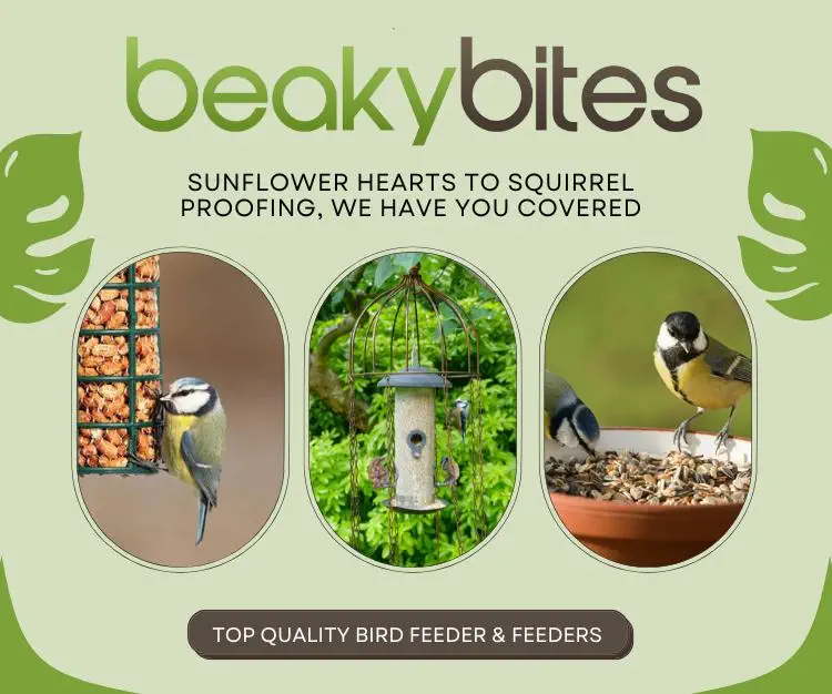 What Seeds to Sow in August - Vegetables, Herbs, and Flowers that be ...