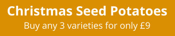 Christmas Potato Seeds - Charlotte - Pack of 1kg Tubers