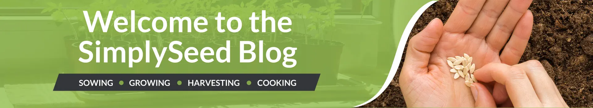 SimplySeed Official Blog.