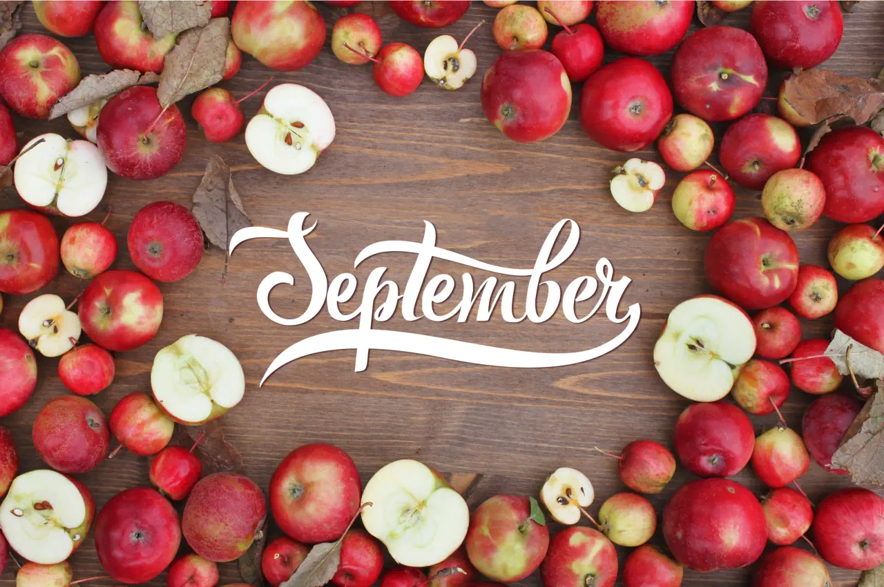 Essential Garden Jobs for September