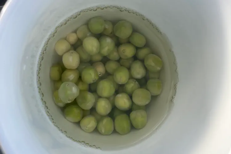 The Benefits of Soaking Pea Seeds Before Planting