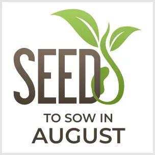 Growing Gherkins From Seeds