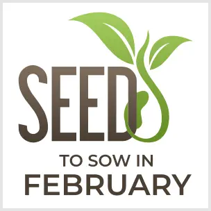 Buy Vegetable Seeds, Flower Seeds and Potato Seeds online from only 59p pkt