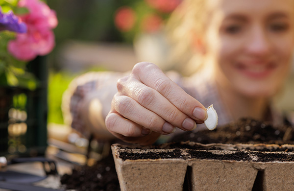 What Seeds to Sow in May - Vegetables, Herbs, and Flowers that be ...