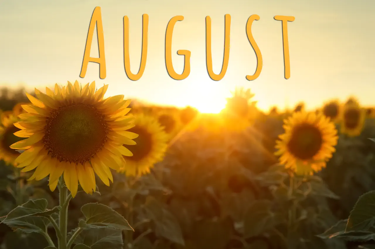 Gardening Jobs For August: What to Do in the Garden