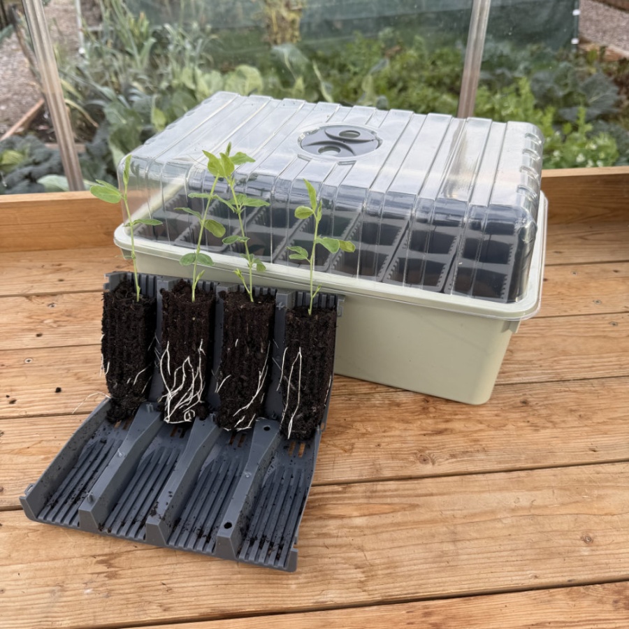 28 Cell Deep Root Success Kit