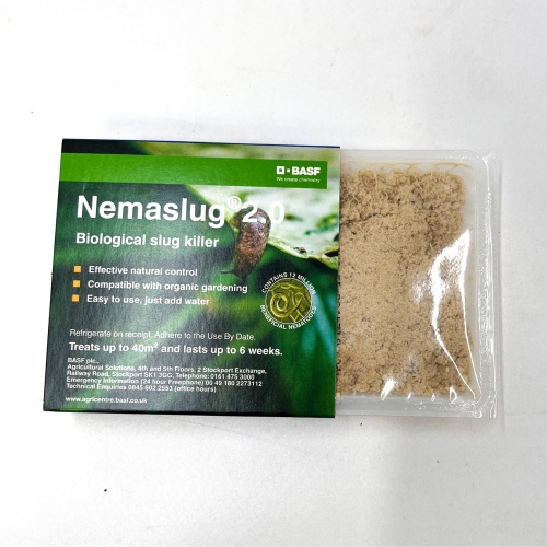 Slug Nematodes! How to apply nemaslug nematodes
