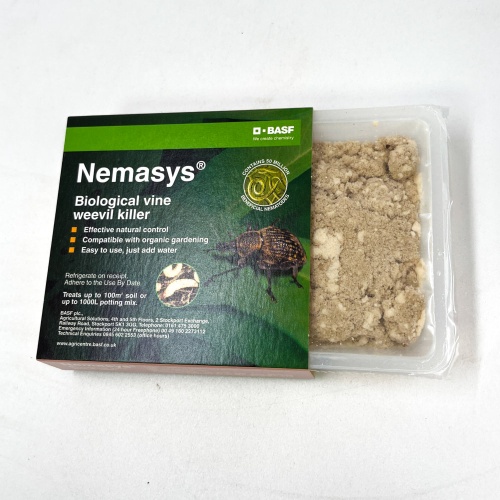 Nemasys Vine Weevil Killer Nematodes - Large Packet