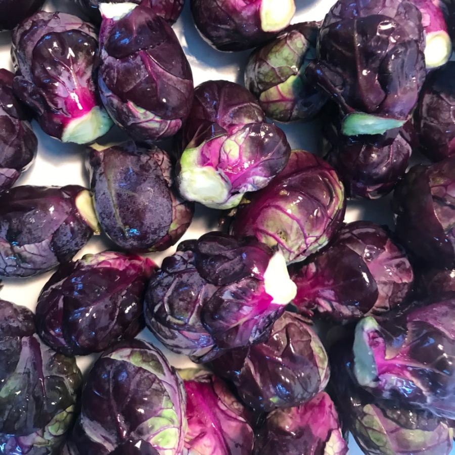 Buy Brussel Sprout Seeds