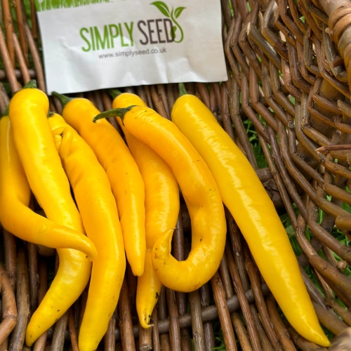 From Mild to Wild, The Different Types of Chillies, and Popular Chilli ...