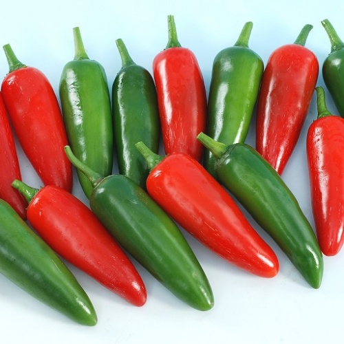 From Mild to Wild, The Different Types of Chillies, and Popular Chilli ...