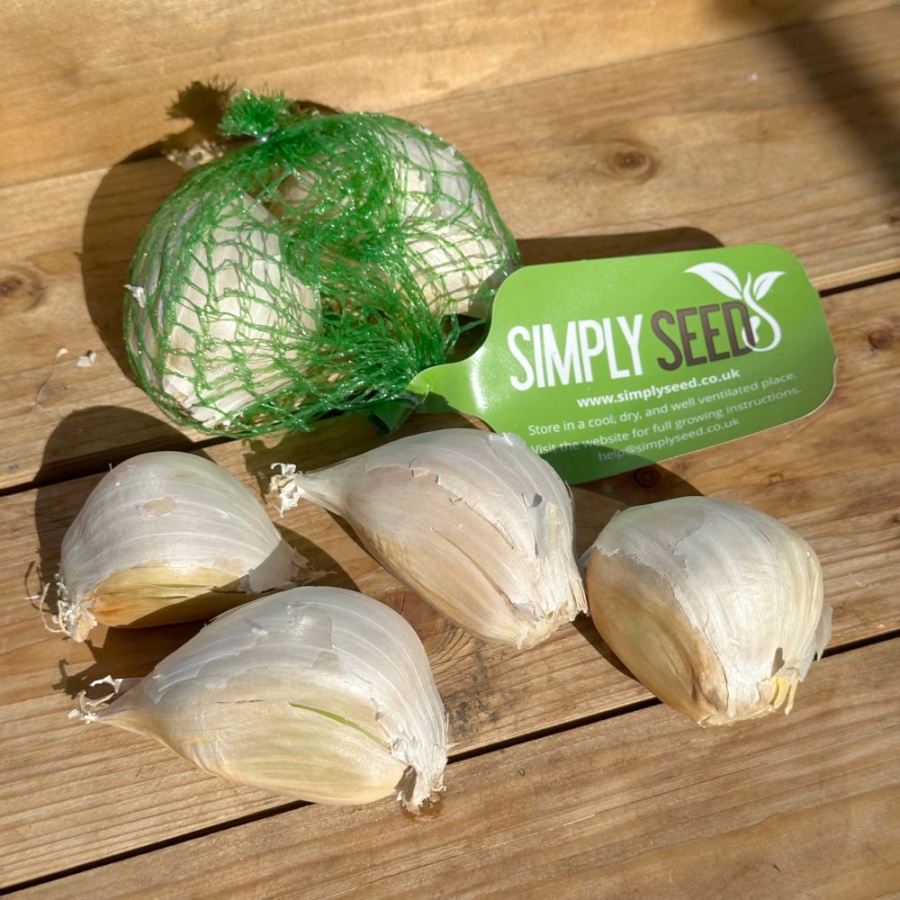 Buy Vegetable Seeds, Flower Seeds and Potato Seeds online from only 59p pkt