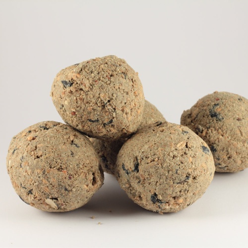 Gardening Jobs for March