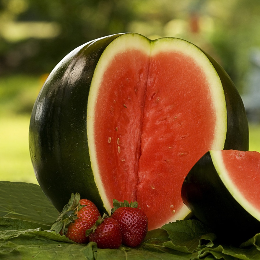 Gardening Jobs for April