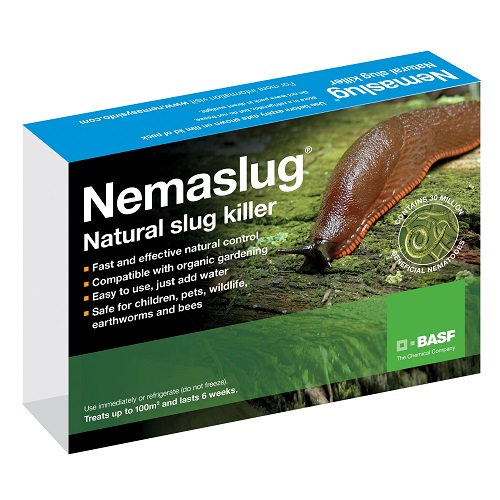 Slug Nematodes! How to apply nemaslug nematodes