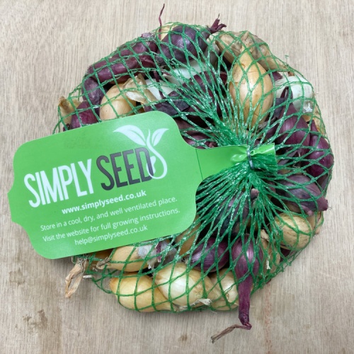 Onion Sets - Mixed Varieties