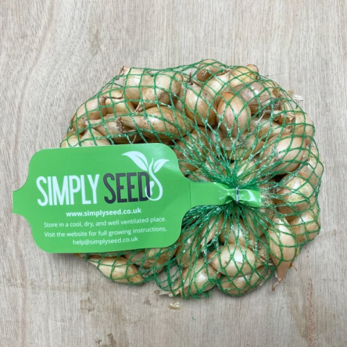 Autumn Planted Onion Sets - Radar