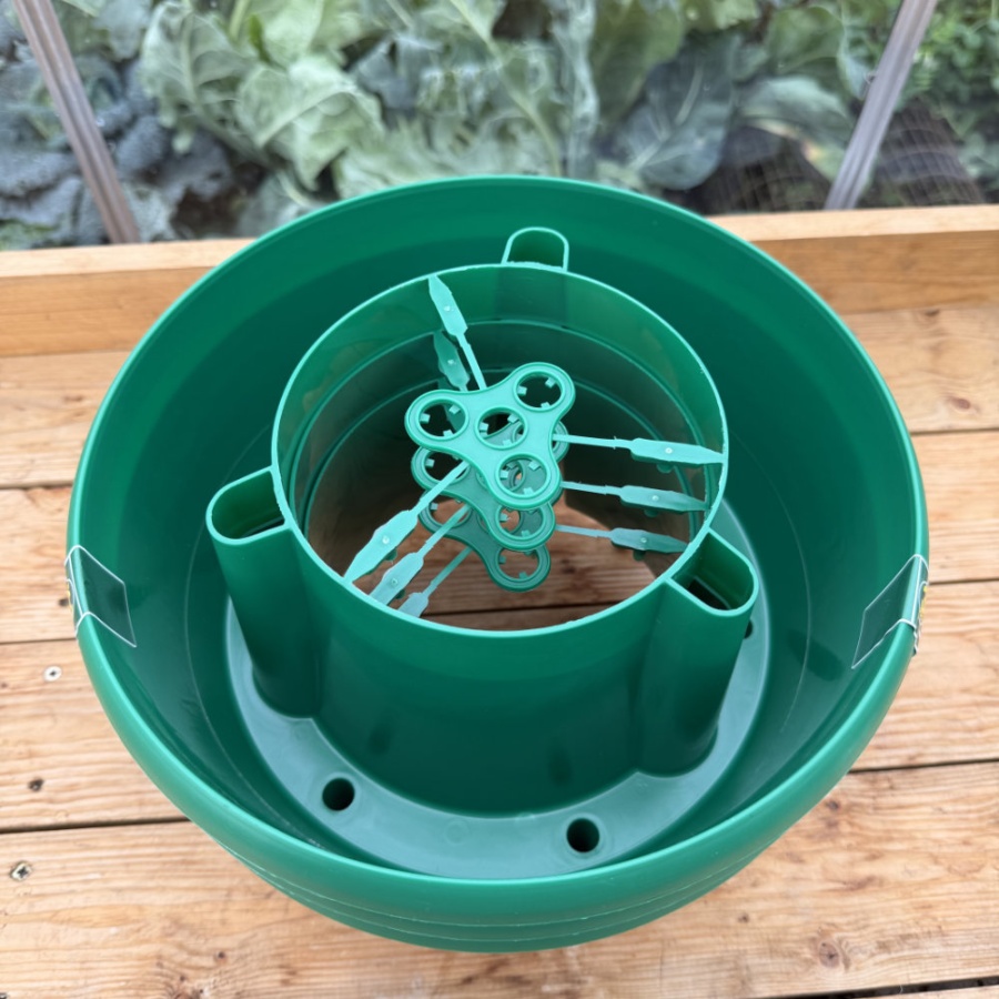 Plant Halos - Pack of 3 - For Tomatoes and Chillies