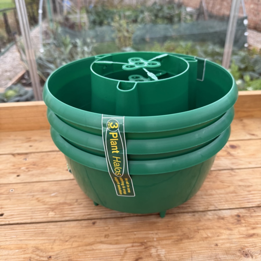 Plant Halos - Pack of 3 - For Tomatoes and Chillies