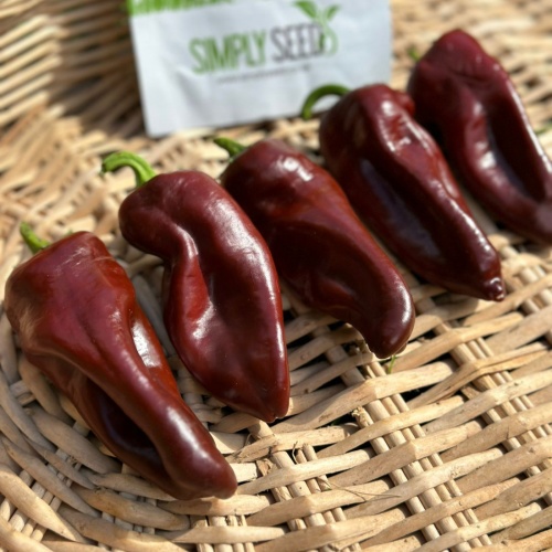 Sweet Pepper