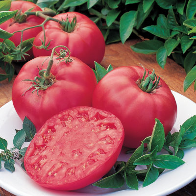 Buy Tomato Seeds - 75 of the Best Varieties in stock