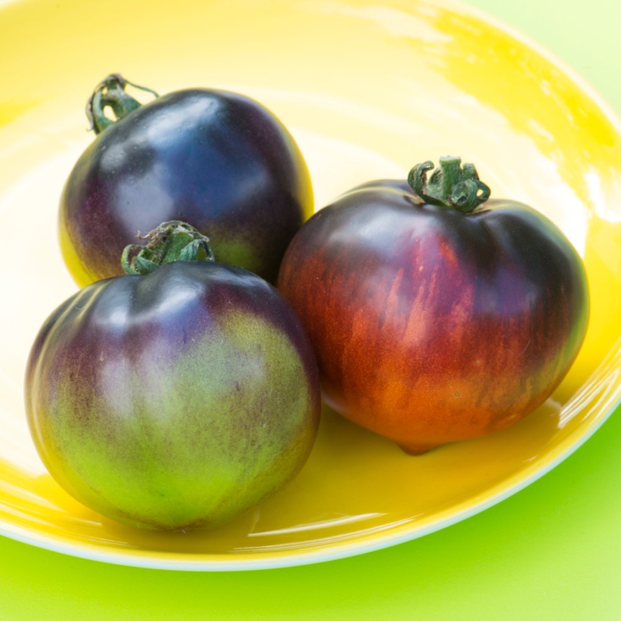 Buy Tomato Seeds - 75 of the Best Varieties in stock