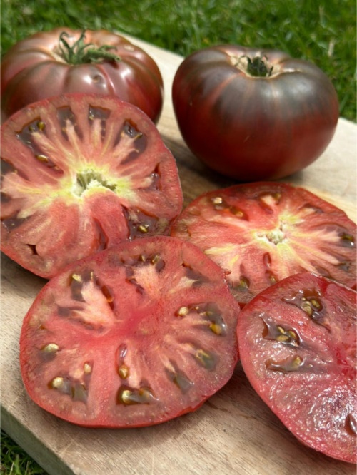 Buy Tomato Seeds - 50 of the Best Varieties in stock