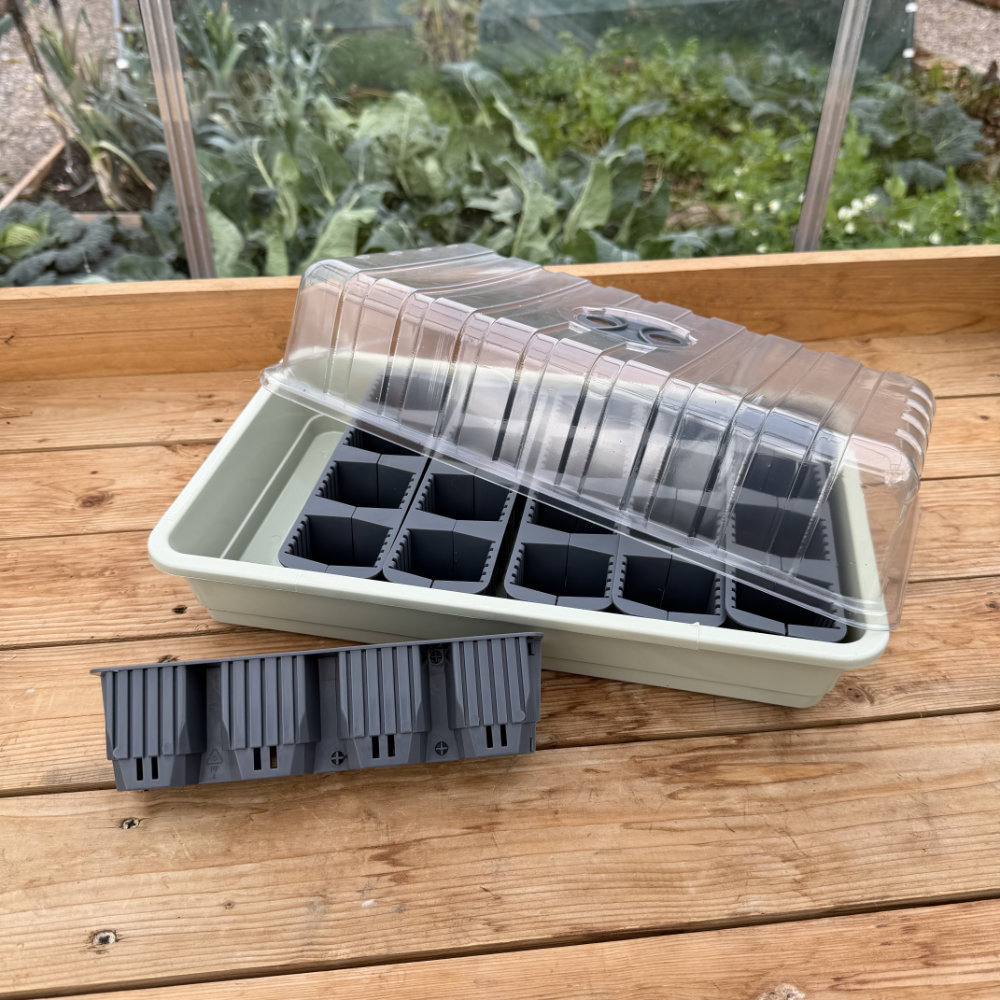 24 Cell Fast Root Cell Training Propagation Success Kit