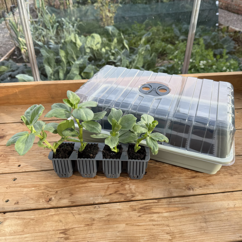 24 Cell Fast Root Cell Training Propagation Success Kit