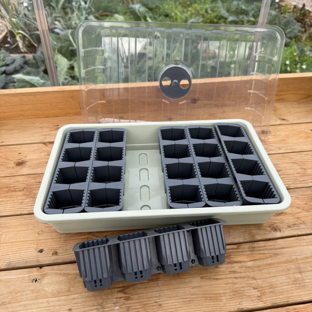 24 Cell Fast Root Cell Training Propagation Success Kit