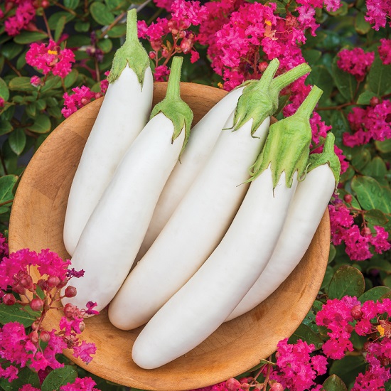 White Aubergine Seeds