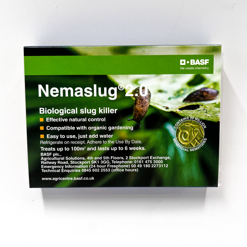 Slug Nematodes - Nemaslug Slug Killer - 100m2