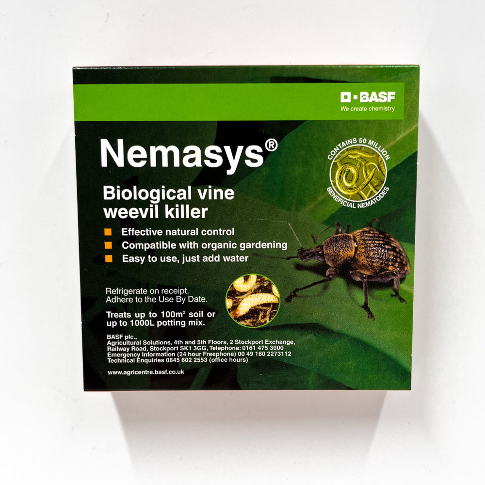 Nemasys Vine Weevil Killer Nematodes - Large Packet