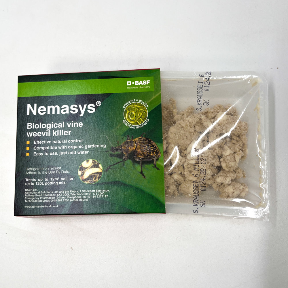 Nemasys Vine Weevil Killer Nematodes - easy to apply treatment.