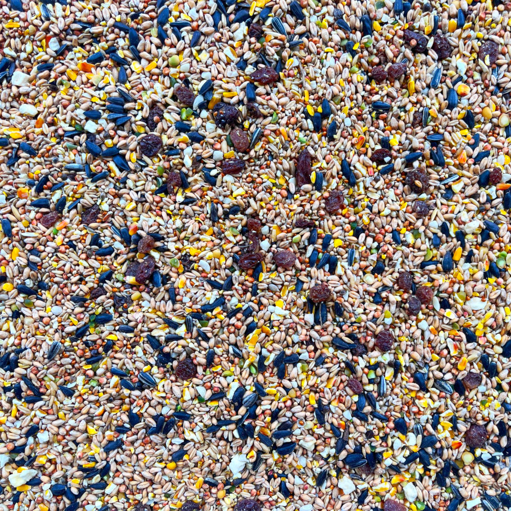 BeakyBites Fruity Bird Feed Mix - 1.5kg Bag