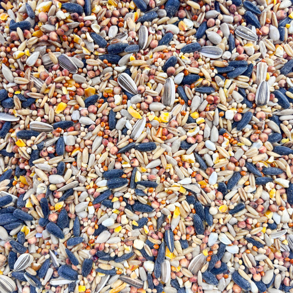 BeakyBites No Mess Bird Seed Mix - 1.5kg Bag