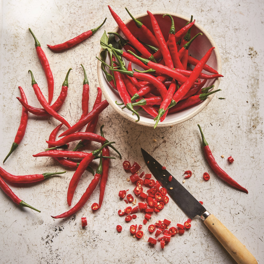 Patio Chilli Seeds Collection