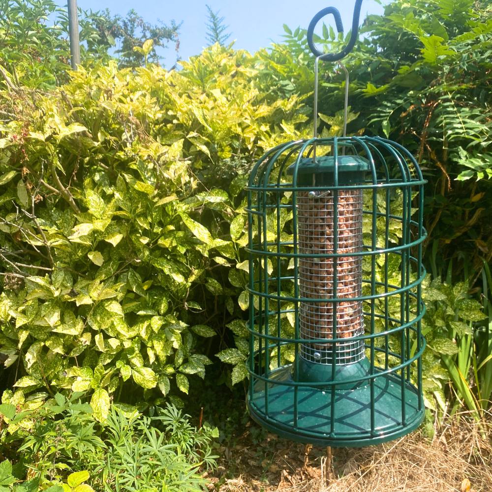 Premium Guardian - Nut Feeder for Birds - Squirrel Proof