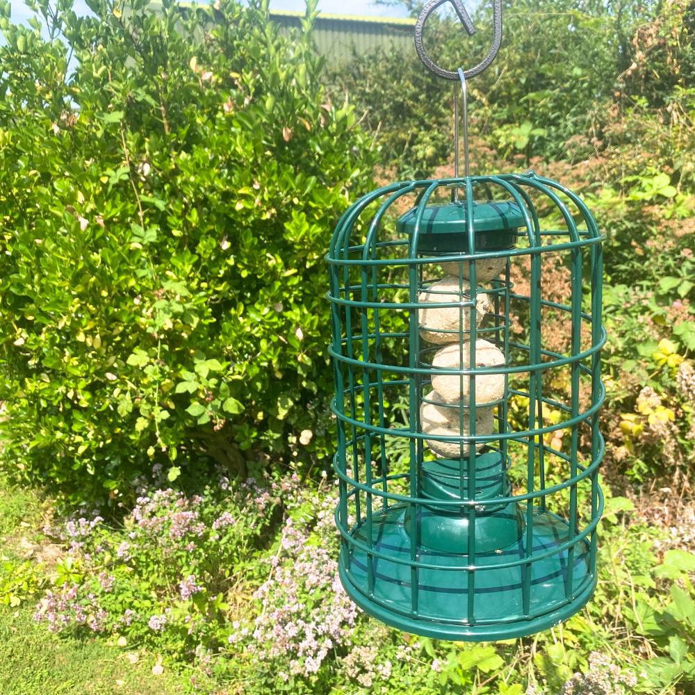Premium Guardian - FatBall Feeder for Birds - Squirrel Proof