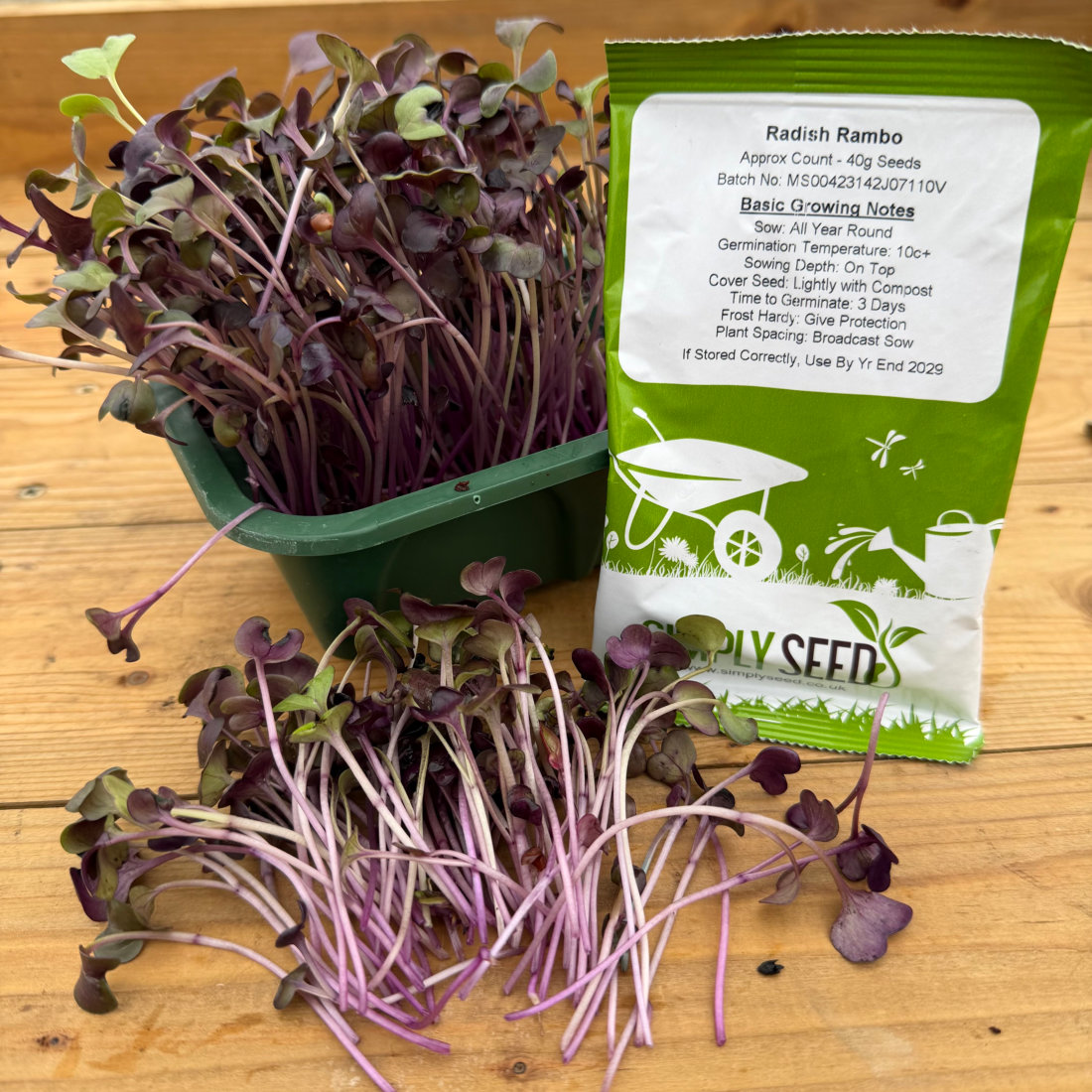 Radish Rambo - Fast Growing Salad Leaf for Microgreens and Sandwiches