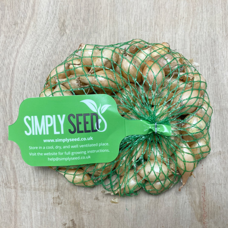 Autumn Planted Onion Sets - Radar