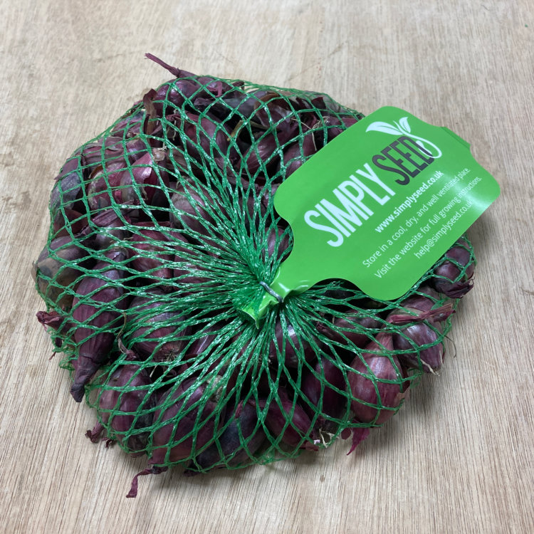 Onion Sets - Red Winter - Autumn Planted