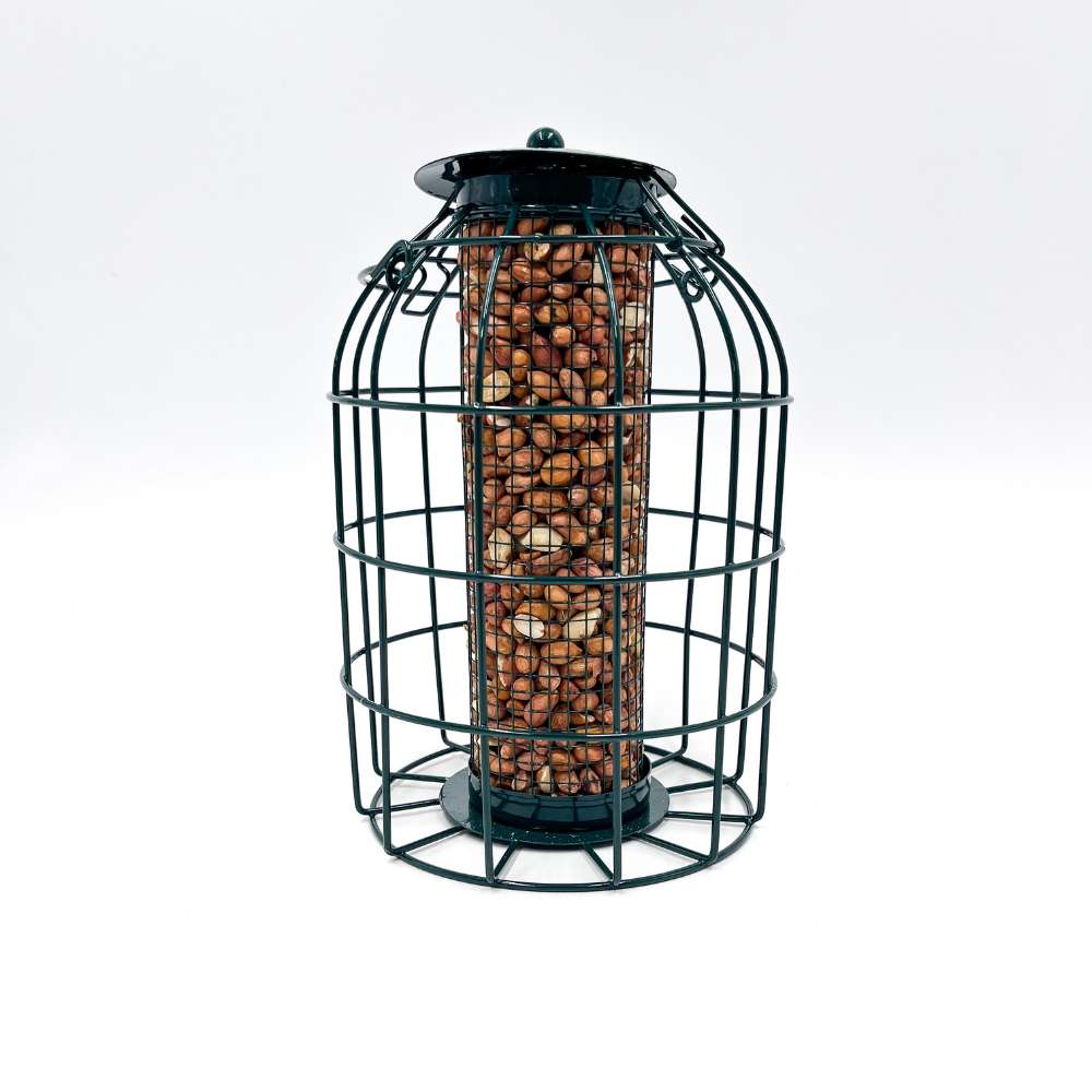 Squirrel Proof Peanut Bird Feeder