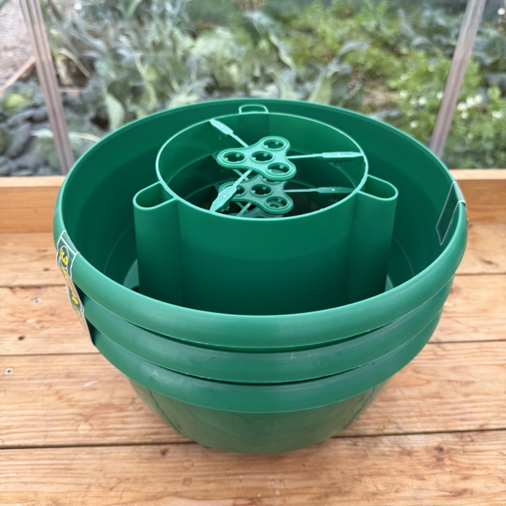 Plant Halos - Pack of 3 - For Tomatoes and Chillies