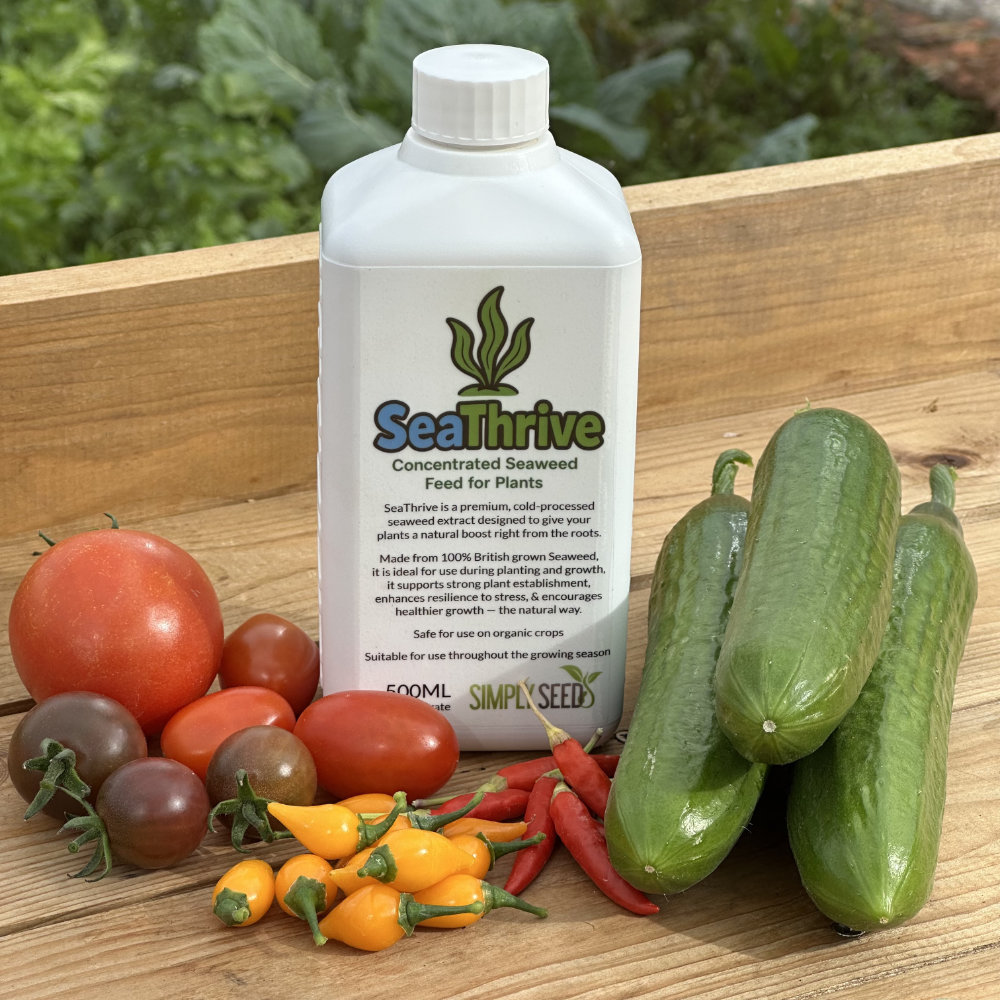 SeaThrive - Concentrated Seaweed Extract for Plants