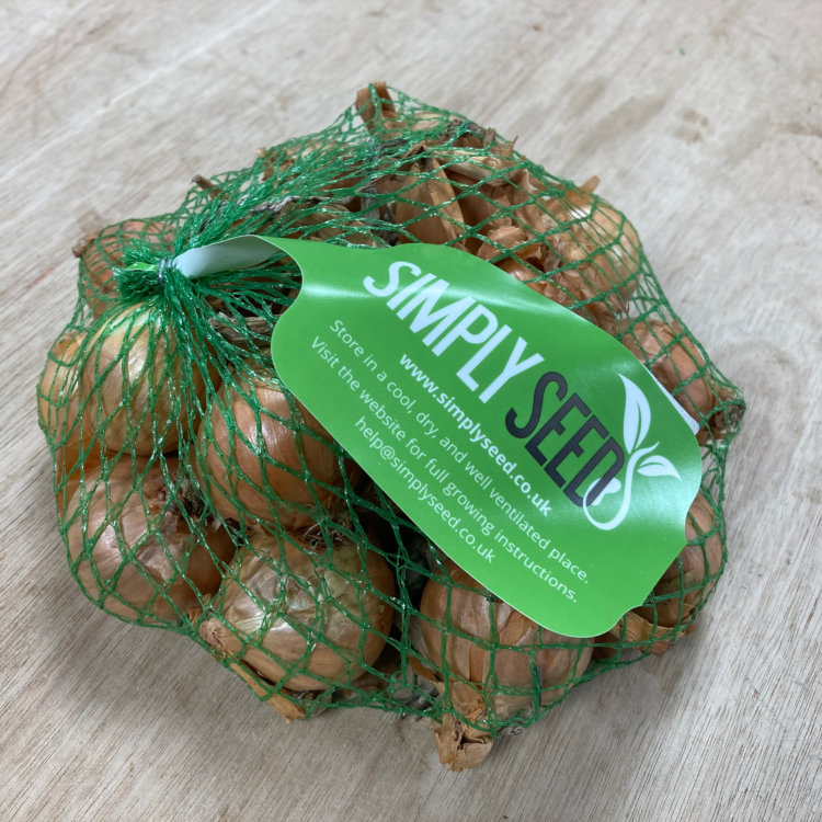 Shallot Sets - Yellow Moon
