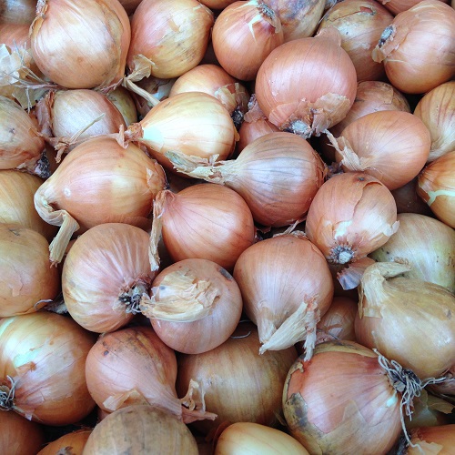 Shallot Sets - Golden Gourmet - 400g