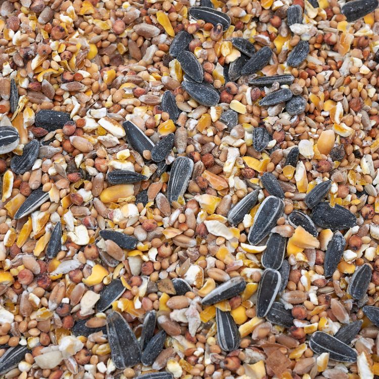 BeakyBites All Season Bird Seed Mix - 1.5kg Bag