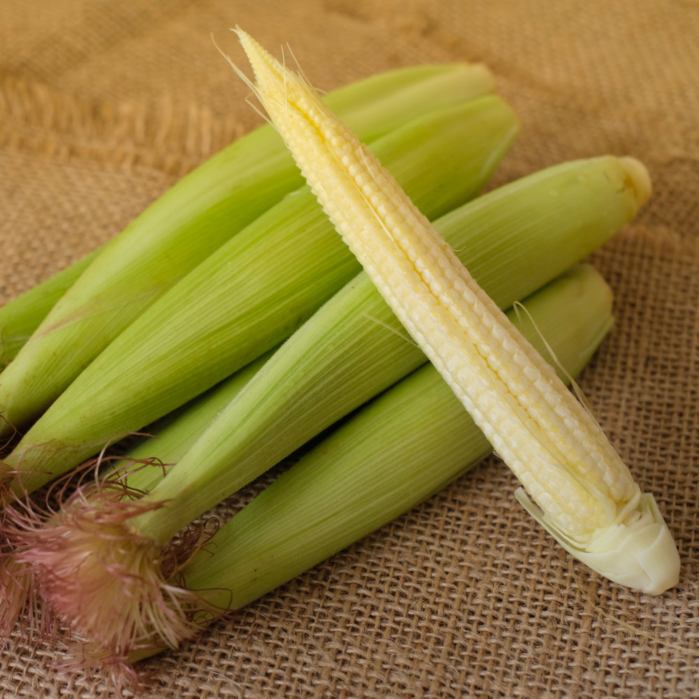 Sweetcorn Minipop Seeds Baby Corn Variety for Stir Fry and Salads