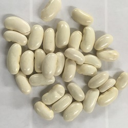 Runner Bean Seeds Enorma
